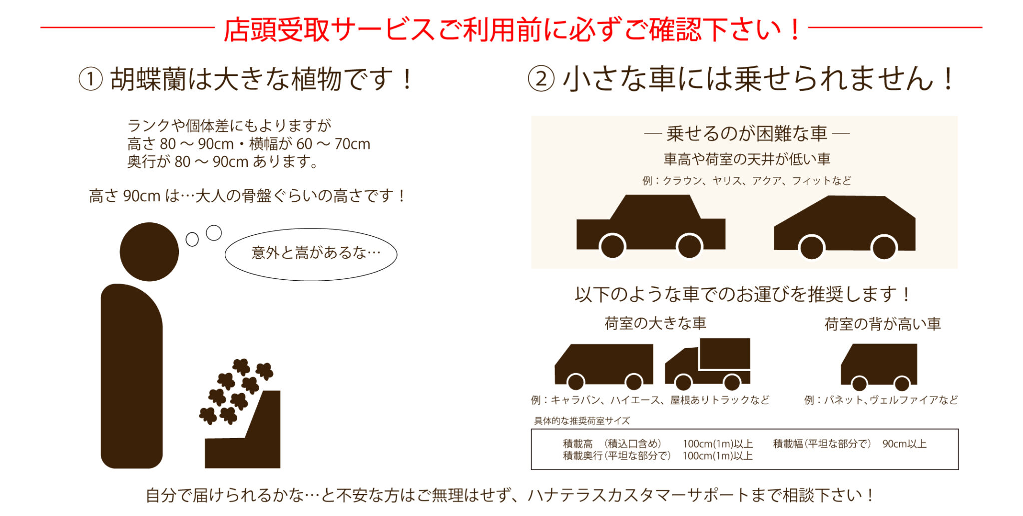 【東京都中央区新川限定】胡蝶蘭店頭受取サービス | 【HanaTerras ～ハナテラス～】法人向けお祝い花＆グリーンギフト